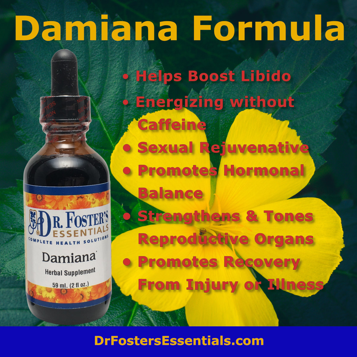 Damiana Concentrate | Herbal Aphrodisiac | Dr. Fosters Essentials